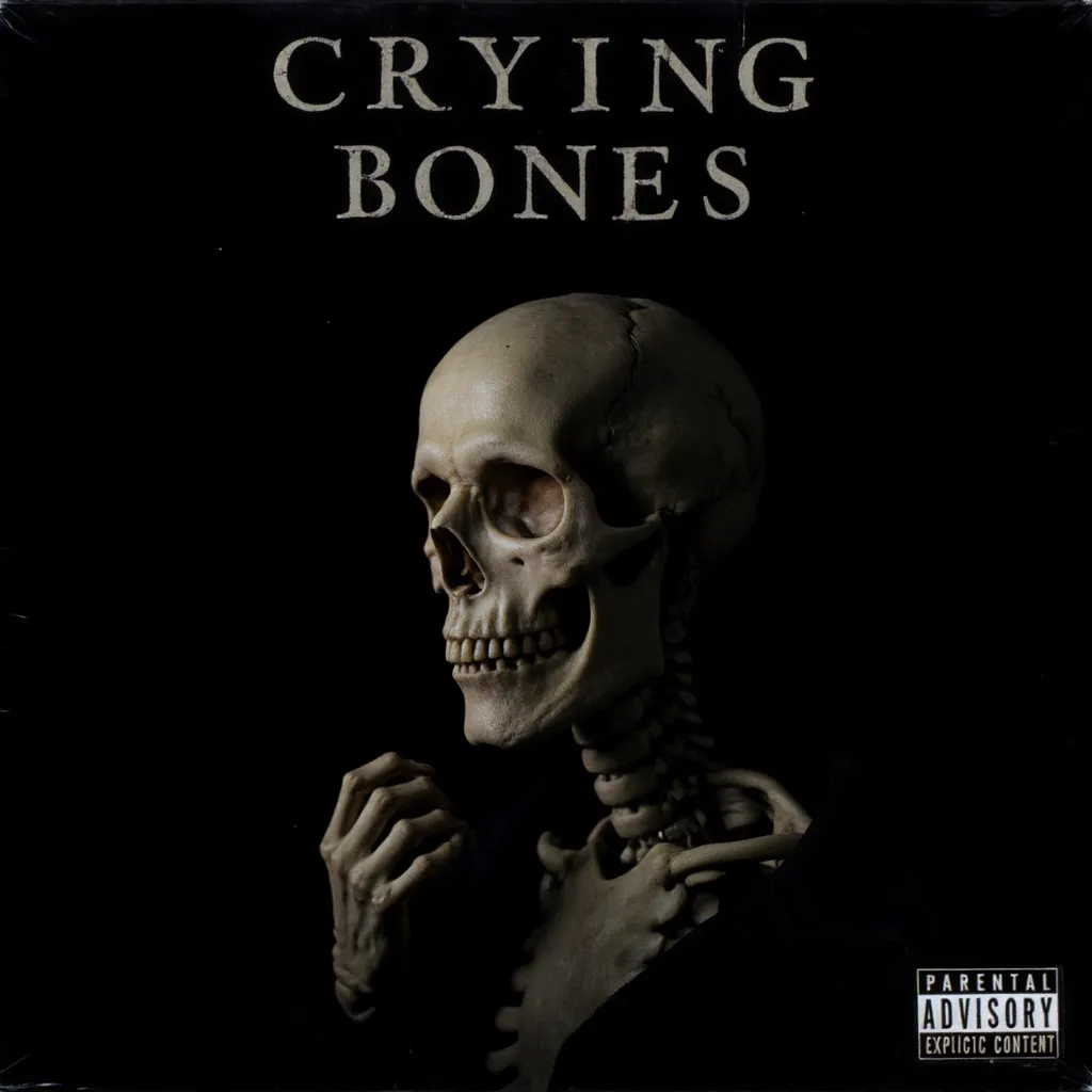 Skeleton Portrait Crying on Album Cover - AI Image Gallery | Diffus