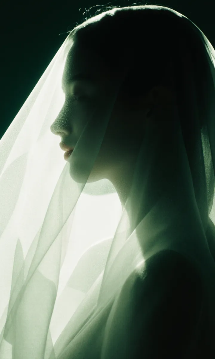 Silhouette Portrait with Translucent Green Fabric - AI Image Gallery ...